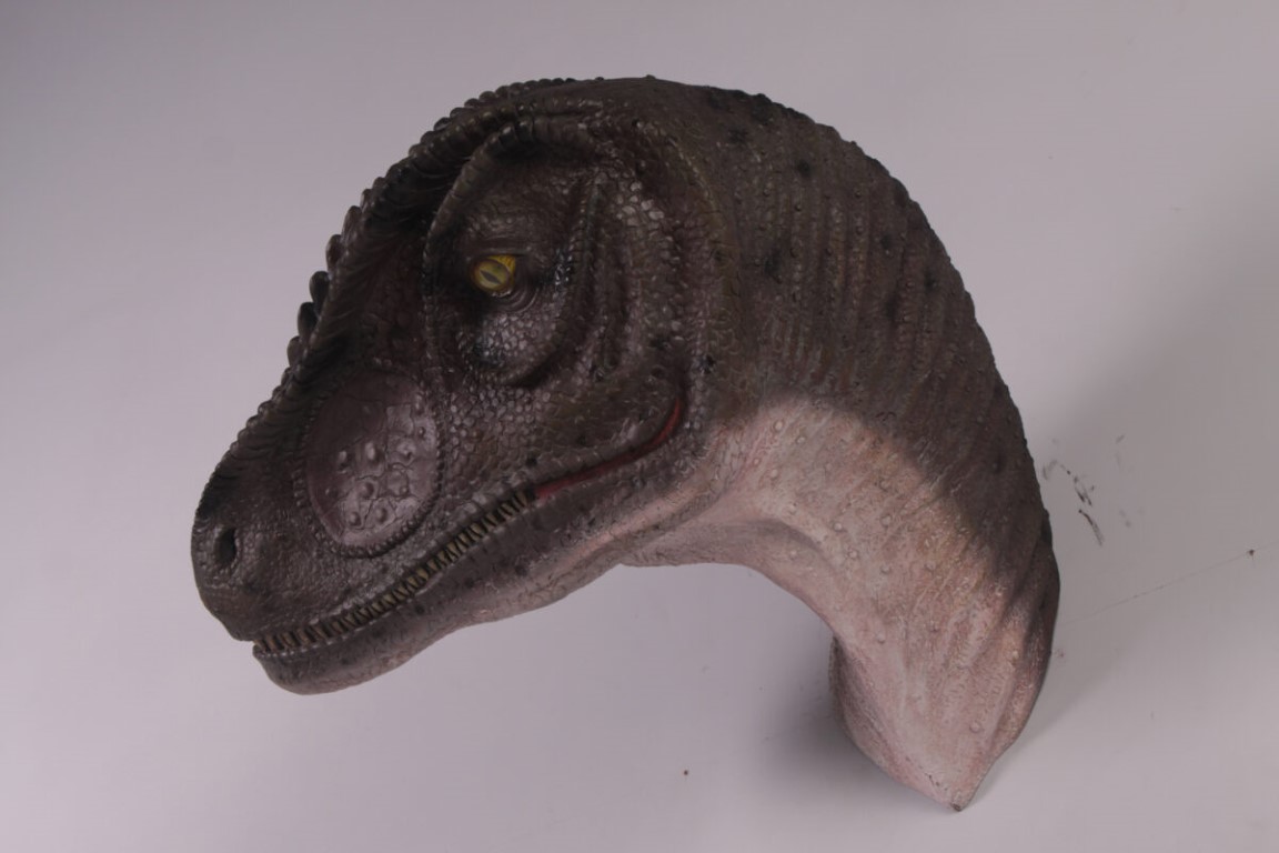 Allosaurus Head - Looking Back | JR 100014