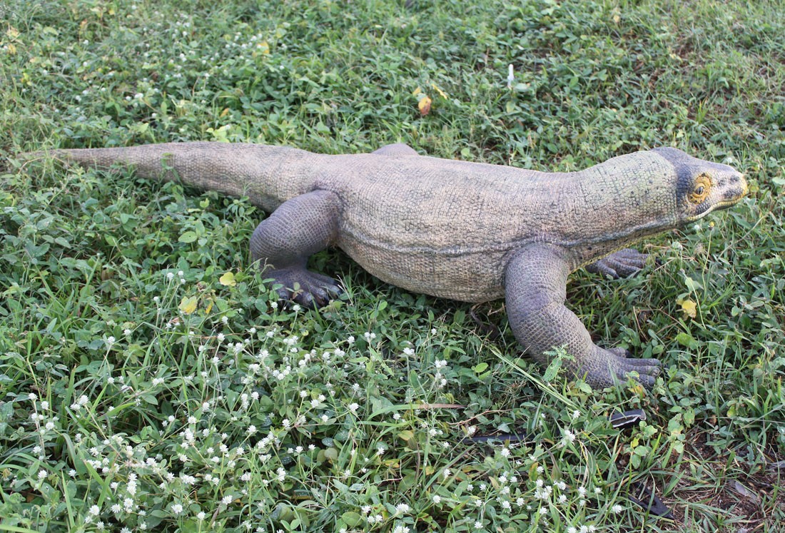 KOMODO DRAGON SMALL JR 120001 – Lifesize-Models