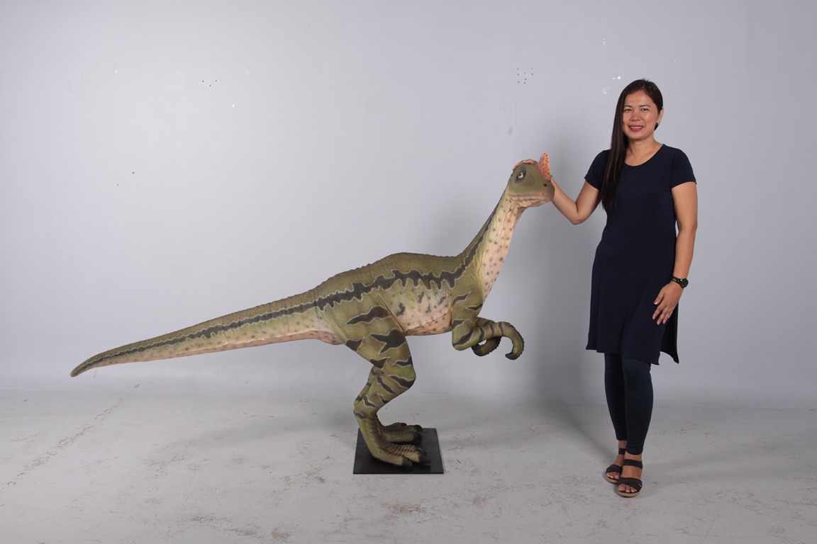 DILONG PARADOXUS JR 160273 – Lifesize-Models