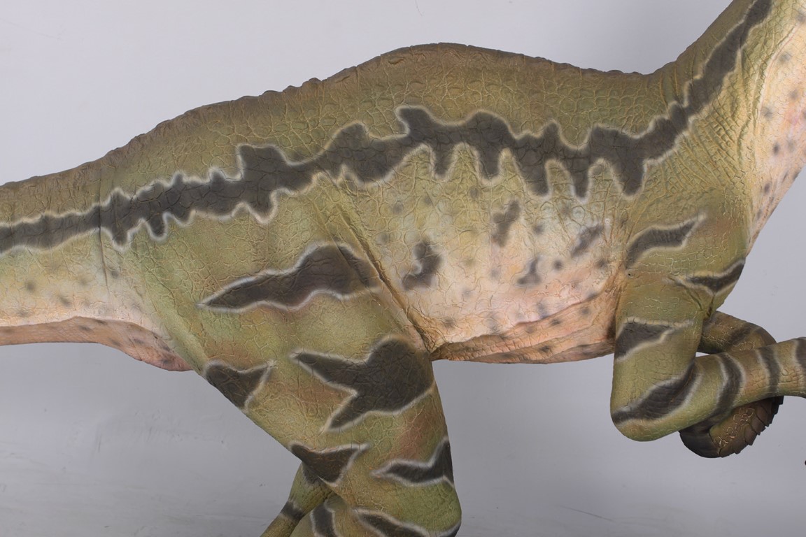 DILONG PARADOXUS JR 160273 – Lifesize-Models