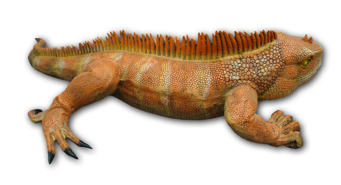 Iguana Jr 2160 Lifesize Models
