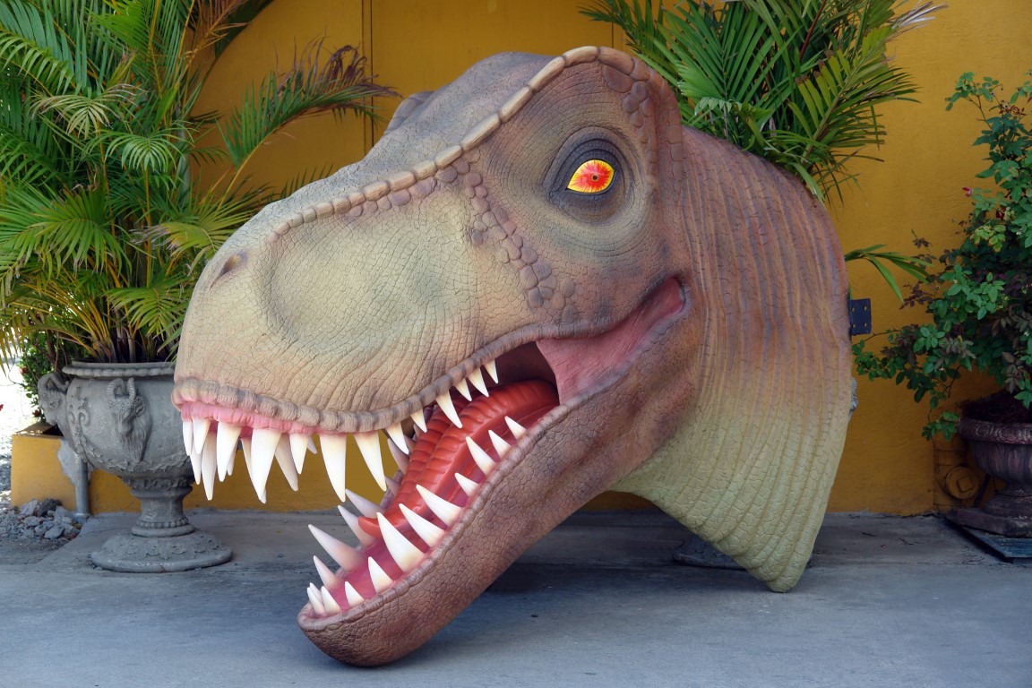 T REX HEAD JR 2400 – Lifesize-Models