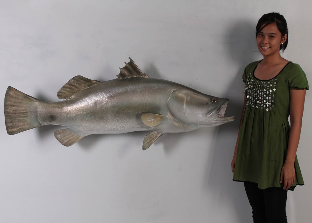 BARRAMUNDI FISH JR 100102 – Lifesize-Models