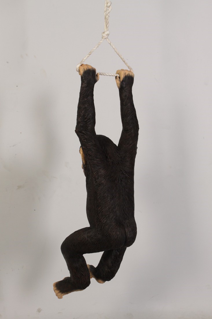 CHIMPANZEE HANGING JR 120040 – Lifesize-Models