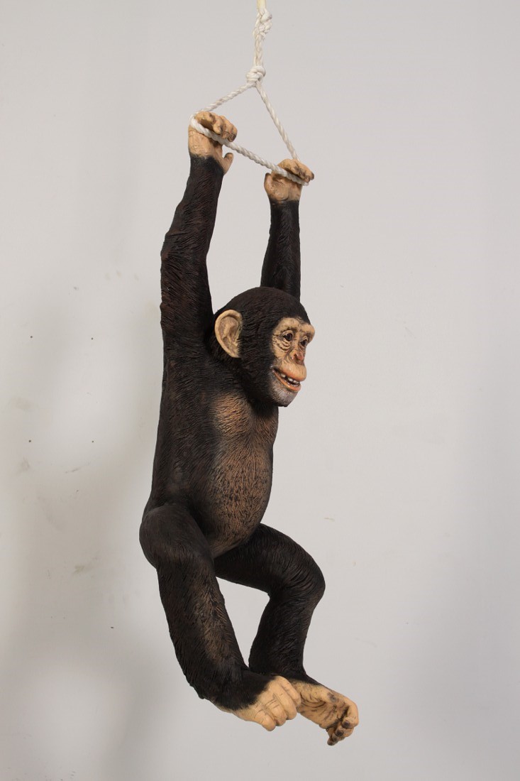 CHIMPANZEE HANGING JR 120040 – Lifesize-Models