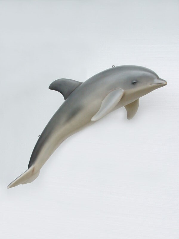 DOLPHIN JR 2158 – Lifesize-Models